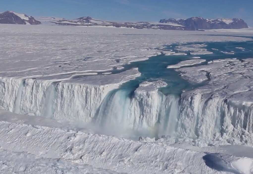 Brutal Military Tactics | Trivia Crush